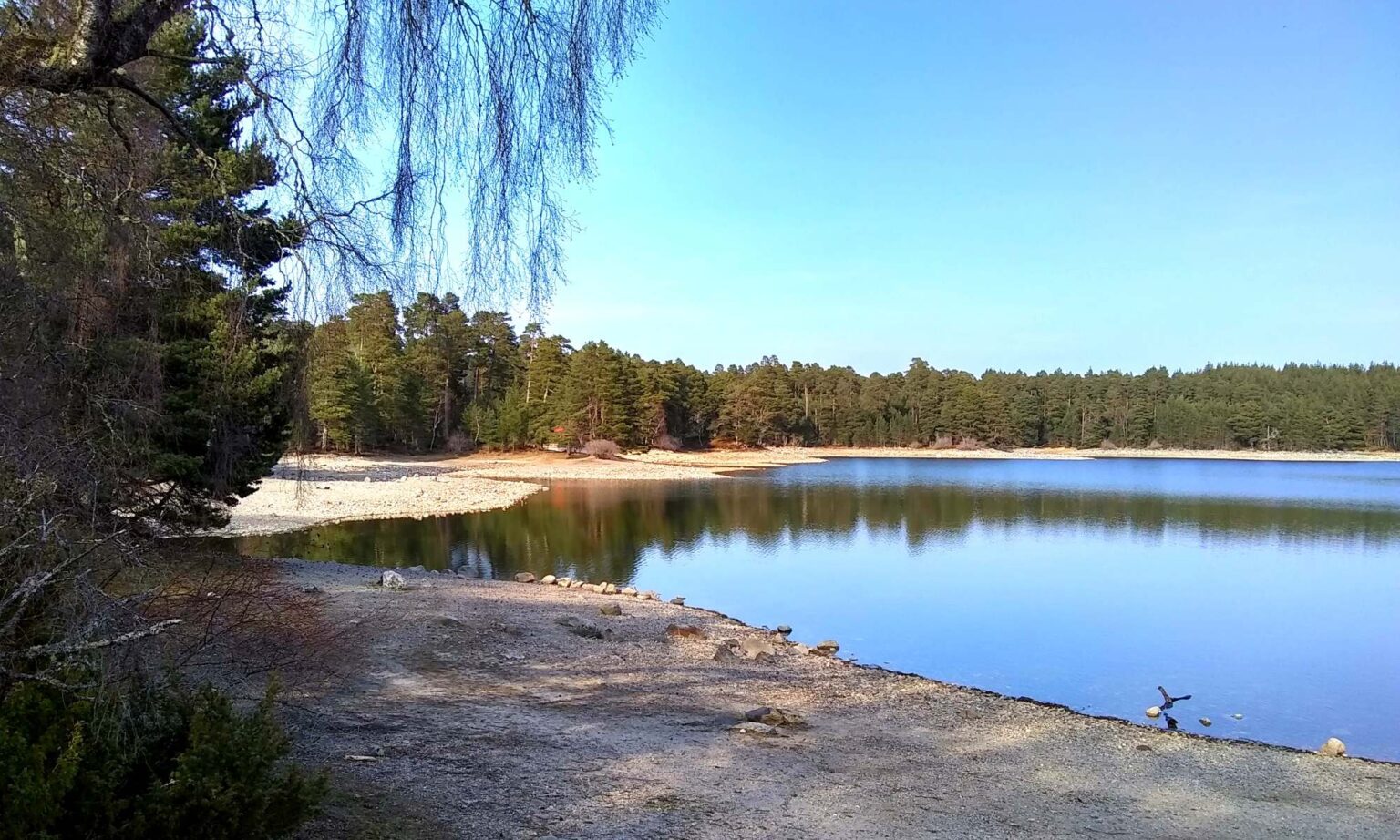 Central Scotland - TROUT FISHING IN SCOTLAND