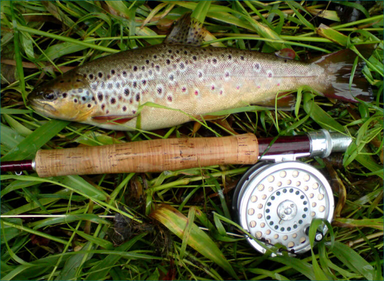 SCOTTISH TROUT FISHING - TROUT FISHING IN SCOTLAND